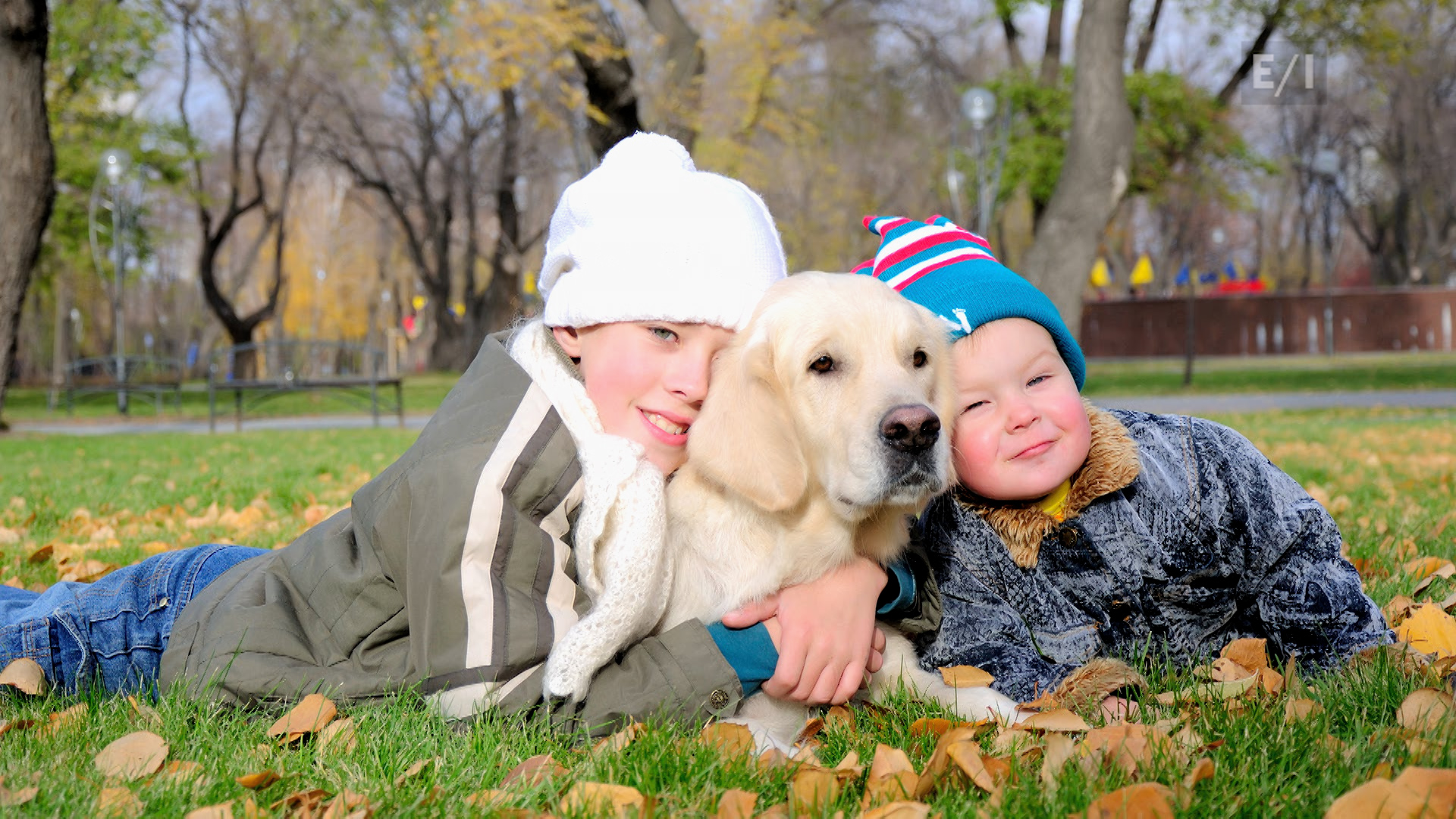 Canine Body Language: Wagging Tails - Teen Kids News