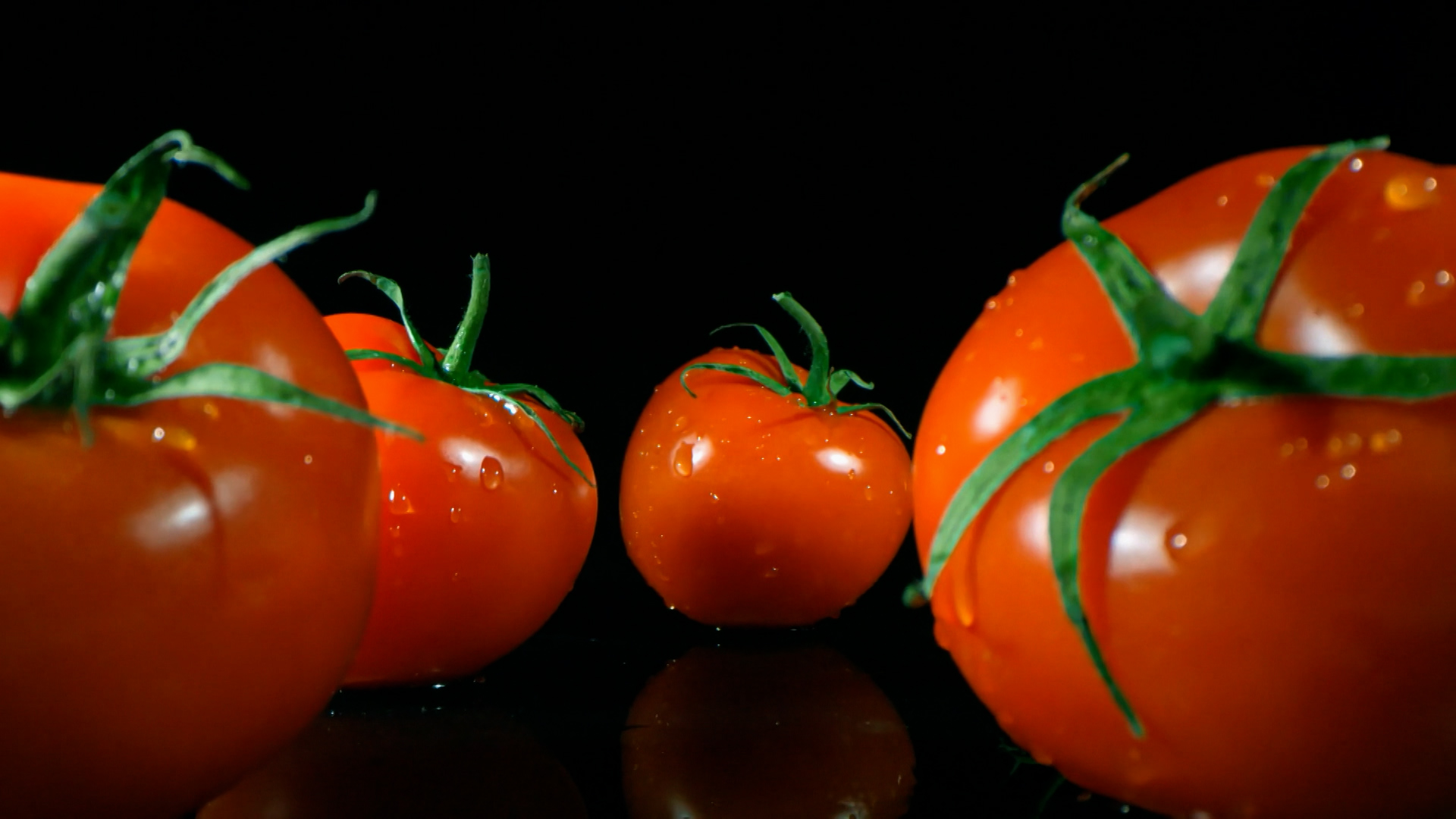 Deadly Tomatoes from the New World - Teen Kids News