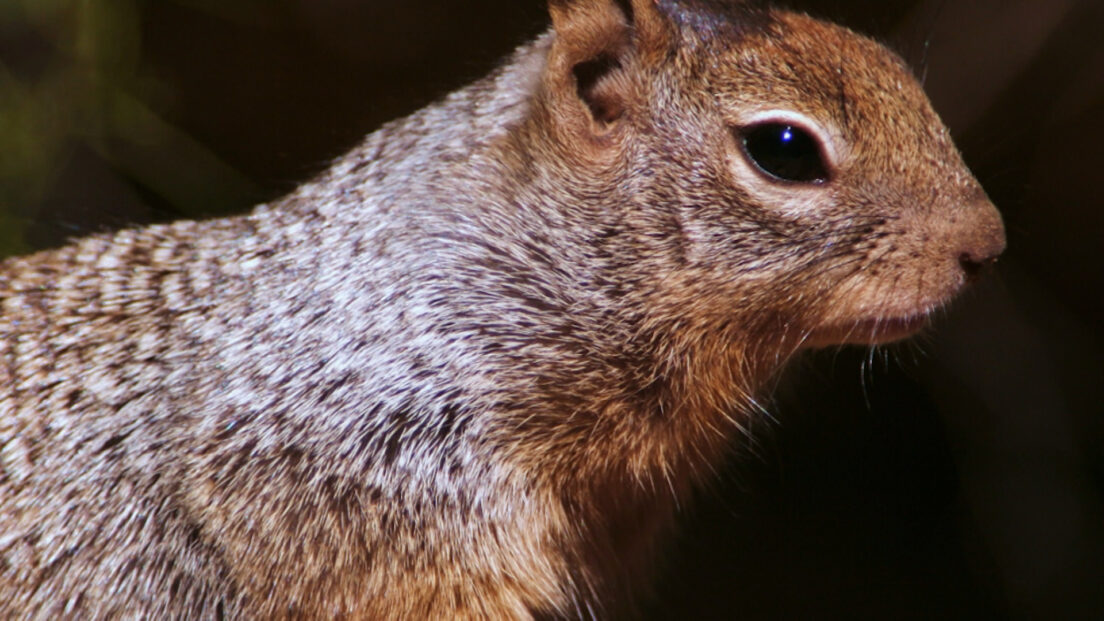 Home Page - Teen Kids News